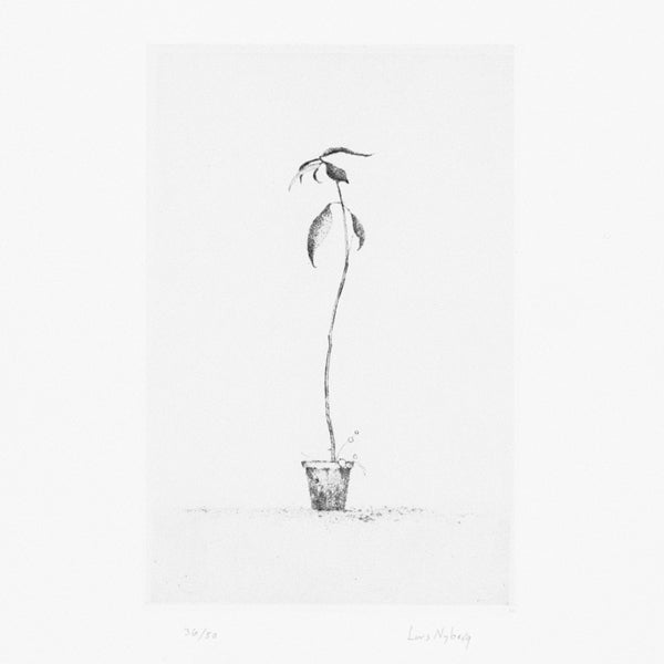 Lars Nyberg – ed. art